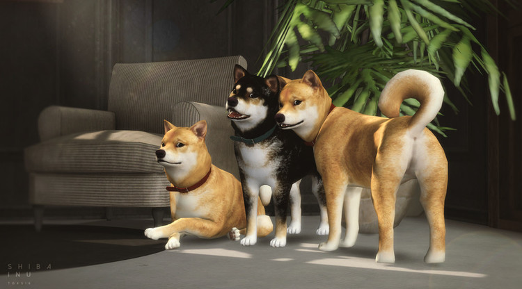 Shiba Inu - ts4 by simsday - SimsDay