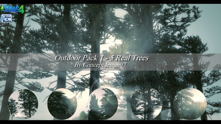Outdoor Pack 1 - 5 Trees realistic by conceptdesign97 - SimsDay