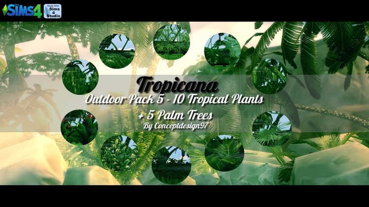 Outdoor Pack 5 - Tropical Plants & Palm Trees by conceptdesign97 - SimsDay