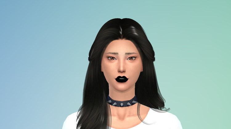 New Sim